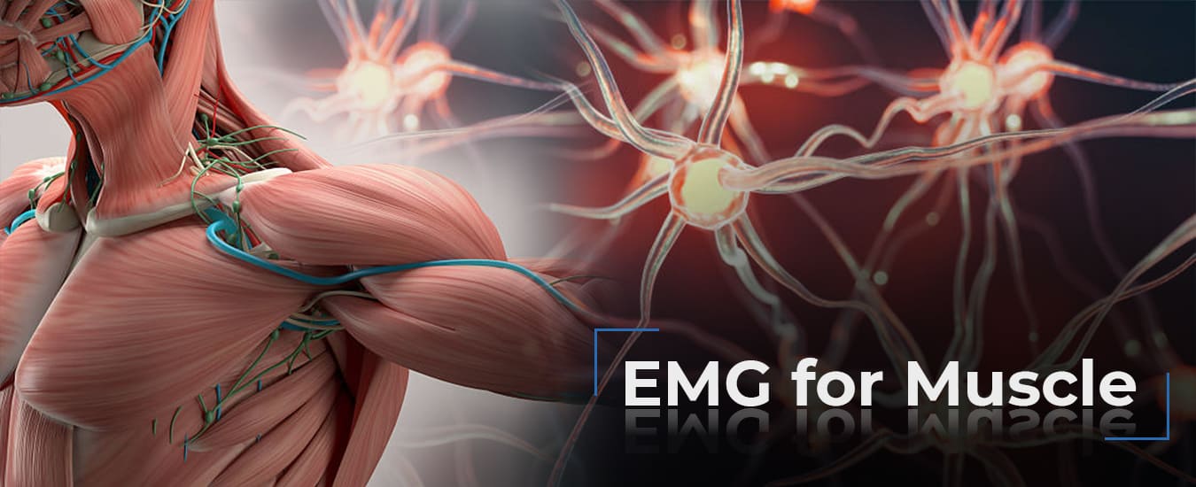 MRK Neuro Lab - Chennai Best Neuro Lab