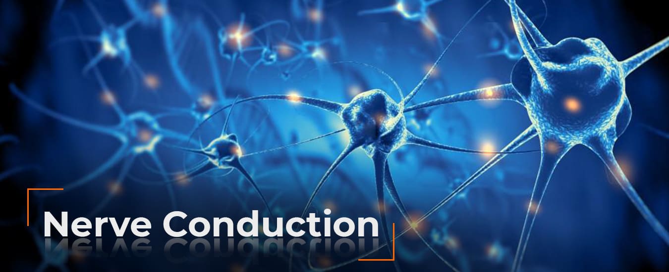 MRK Neuro Lab - Chennai Best Neuro Lab